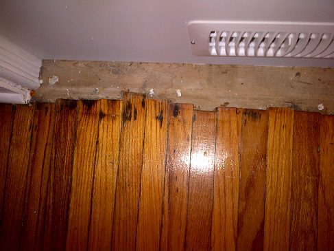 Photos Of The Week! - Toronto Realty Blog